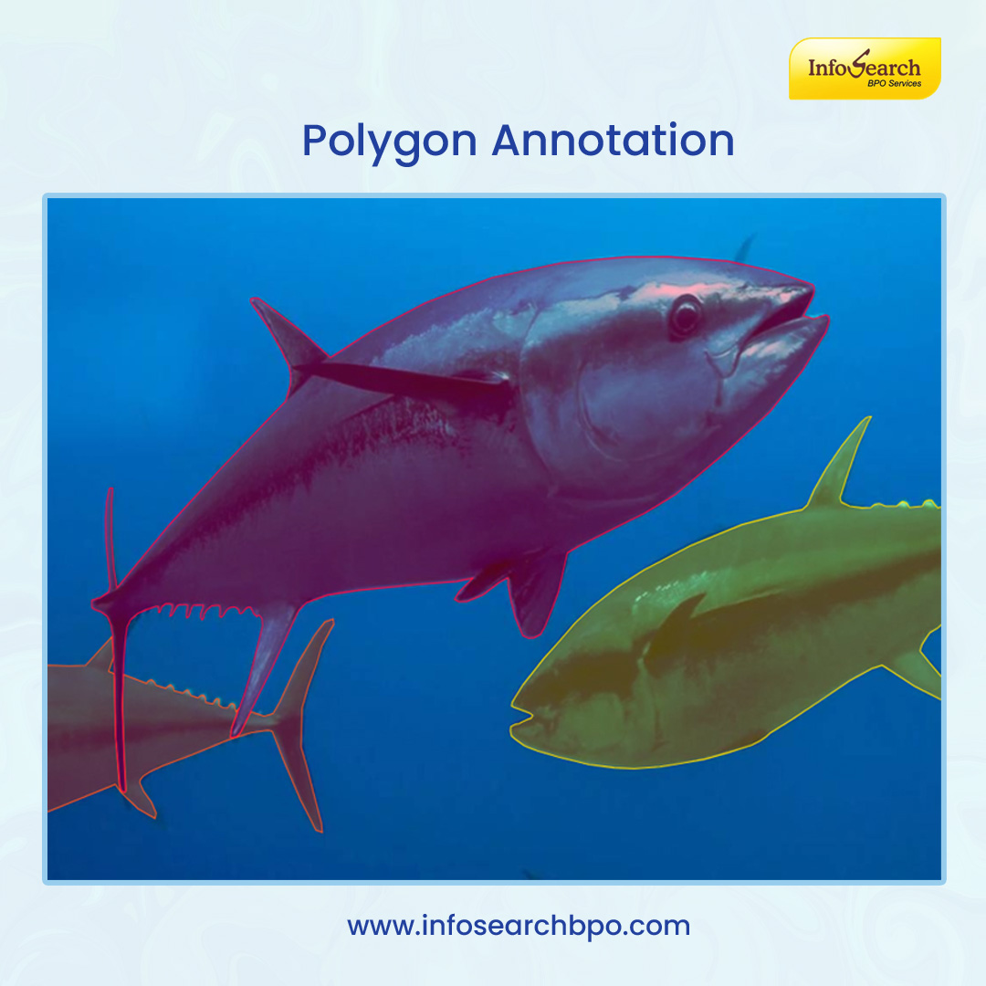 What Is Polygon Annotation? A Complete Guide for AI & Machine Learning | Infosearch BPO News