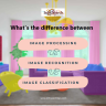 Image Processing vs. Image Recognition vs. Image Classification: What’s ...