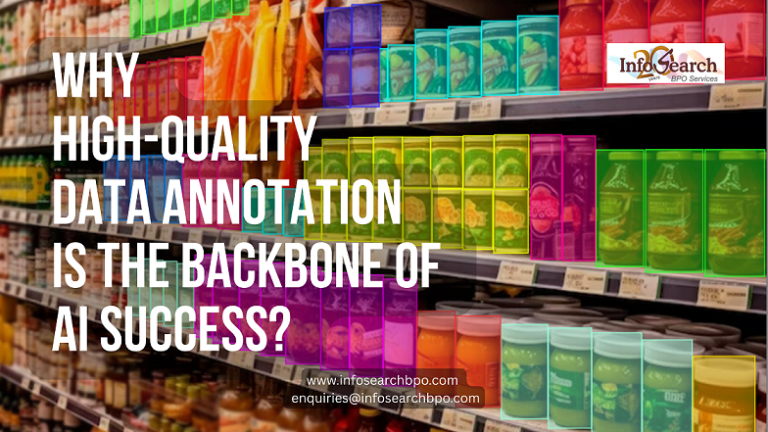 Why High-Quality Data Annotation Is the Backbone of AI Success ...